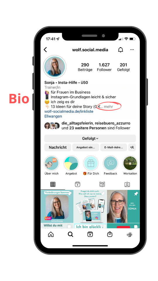 Instagram Bio - was ist damit gemeint? - WOLF Social Media